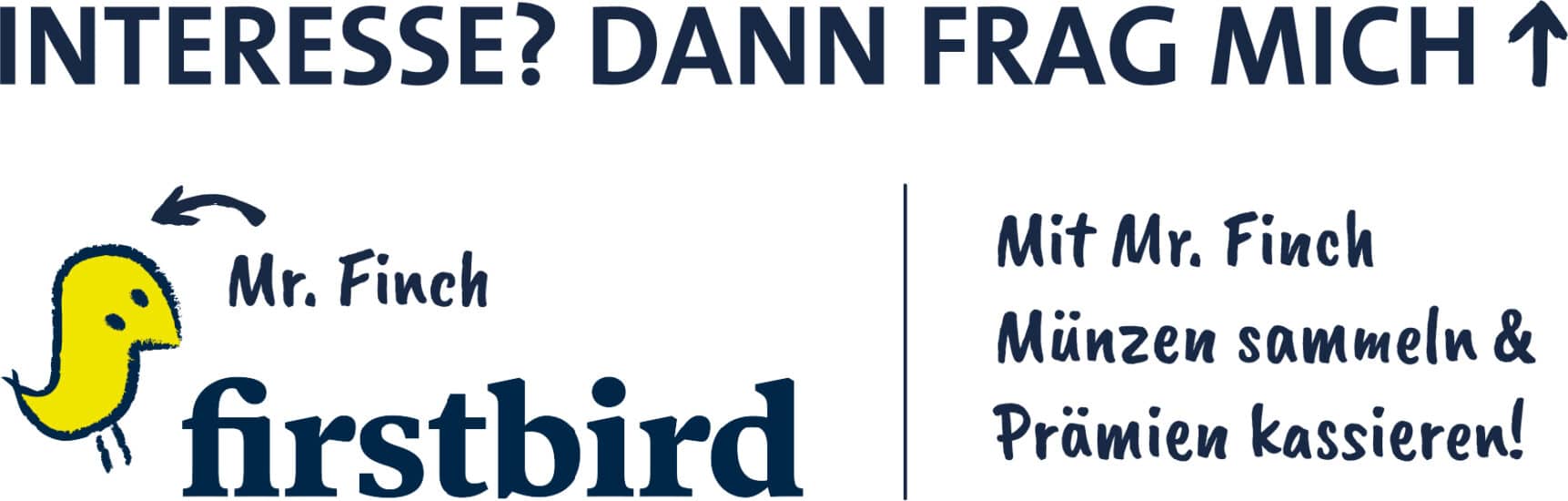 HBS-Mitarbeiterin berichtet von ihren Erfahrungen mit firstbird